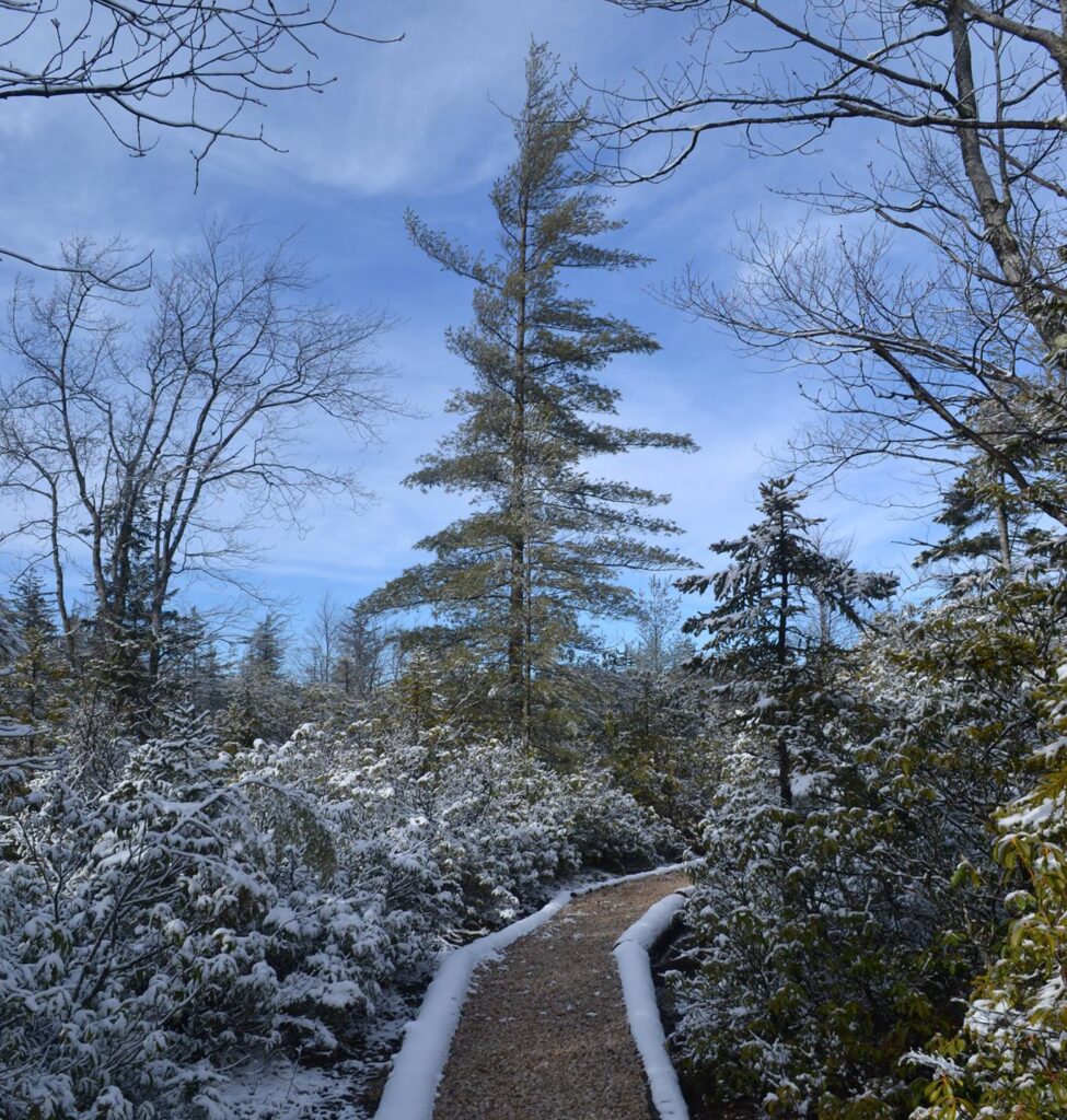 About – Heart of the Highlands Trail System