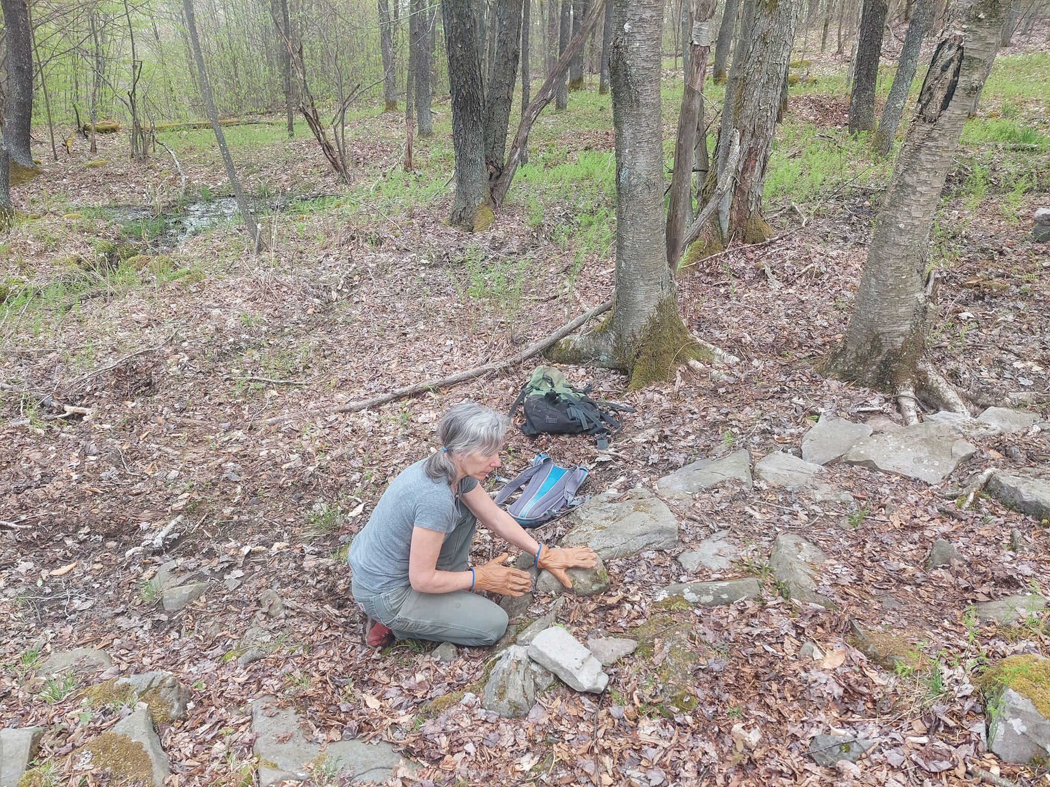 May Trail Work update – Heart of the Highlands Trail System