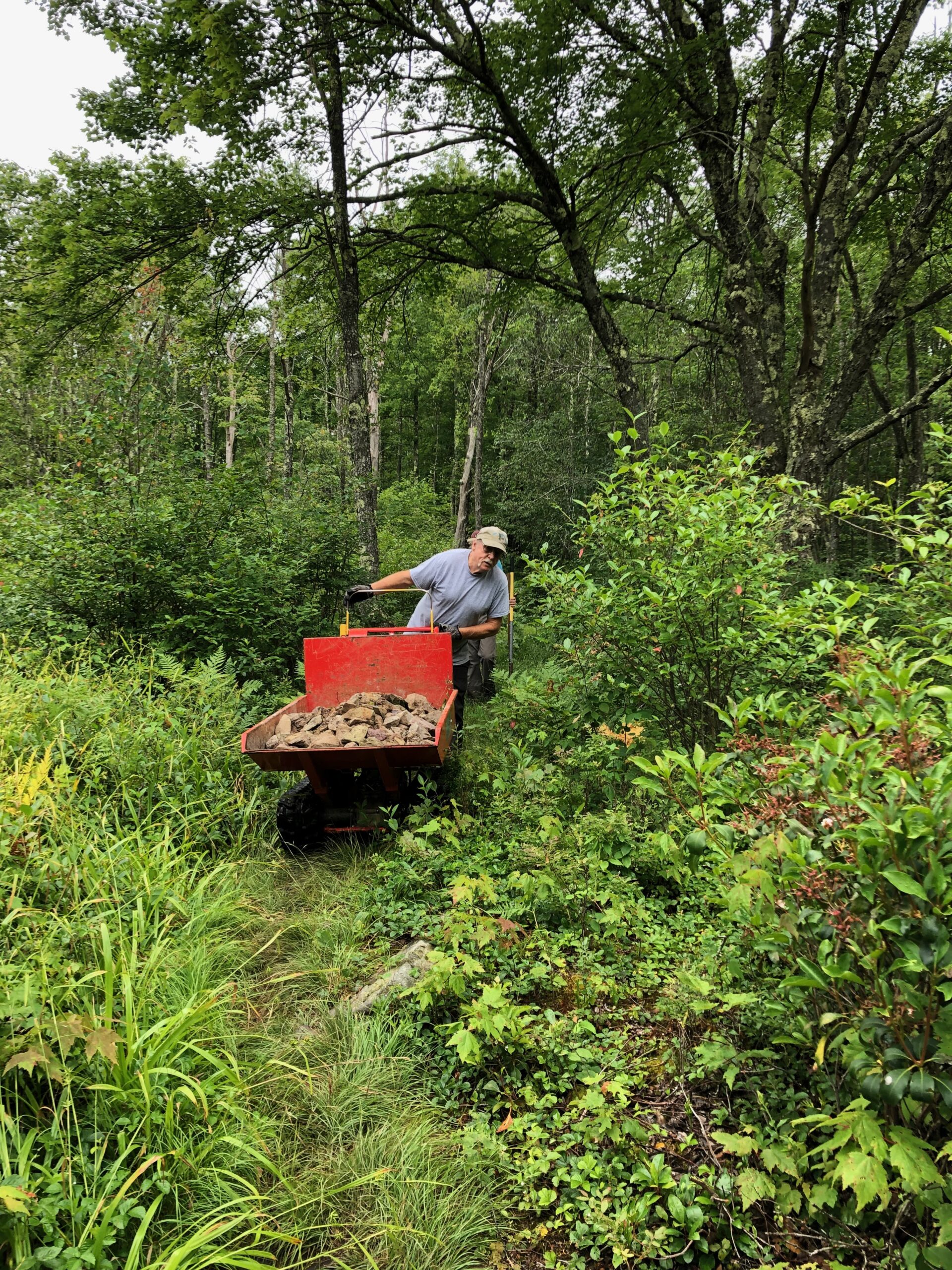 SPRING & SUMMER TRAIL WORK UPDATE – Heart of the Highlands Trail System