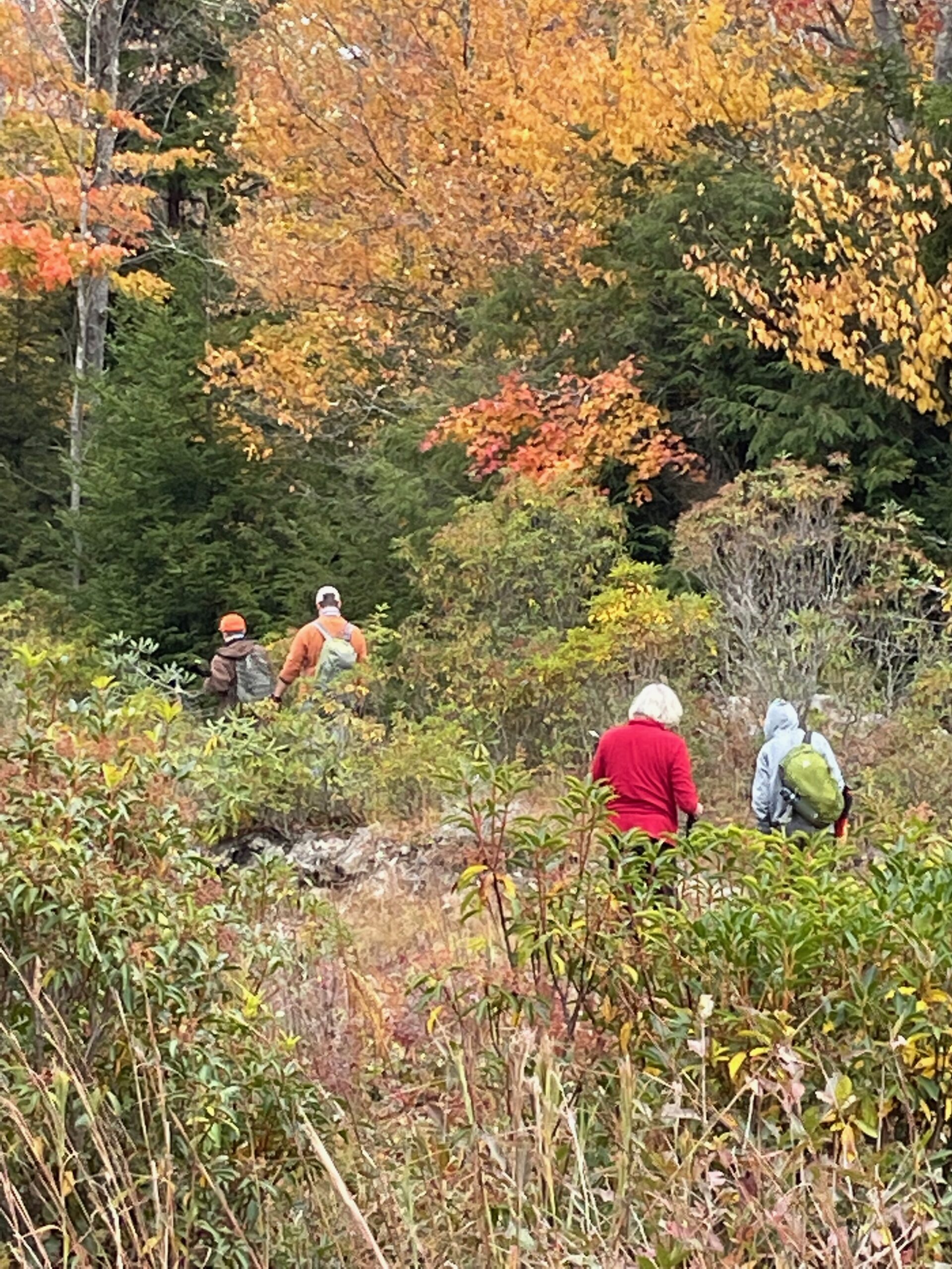 Trail work Oct. 8th- Thank you Scout troup 65 BSA - Heart of the ...
